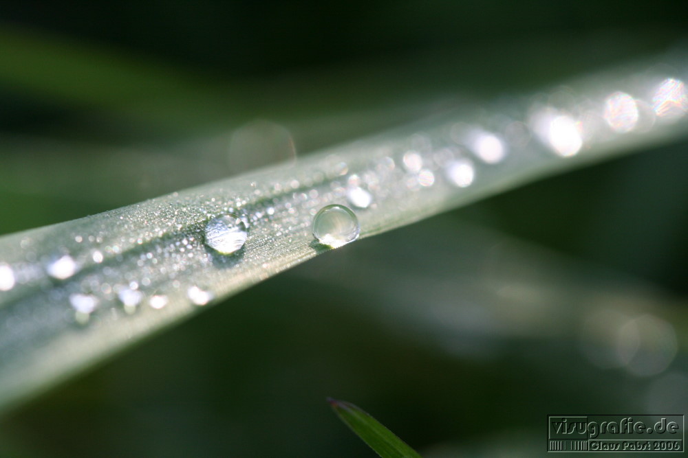 klein.. aber mein - erstes Tropfenbild Foto & Bild | experimente ...