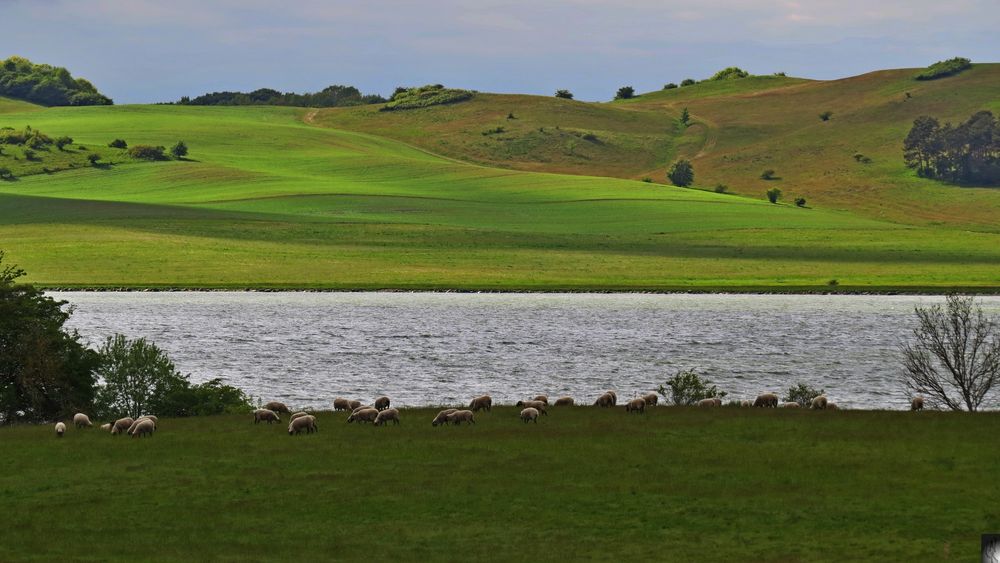 Klein Zicker Foto & Bild | world, rügen, klein zicker Bilder auf ...