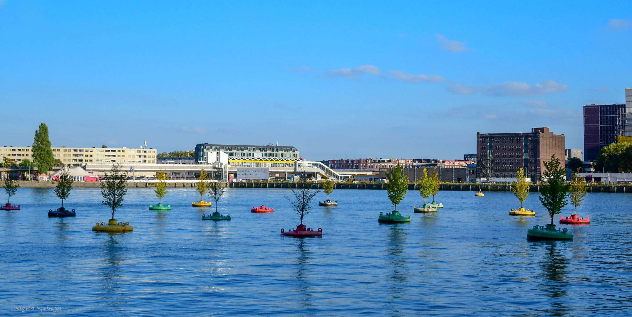 kleine bunte Bojen Foto & Bild | europa, niederlande, flair Bilder auf ...