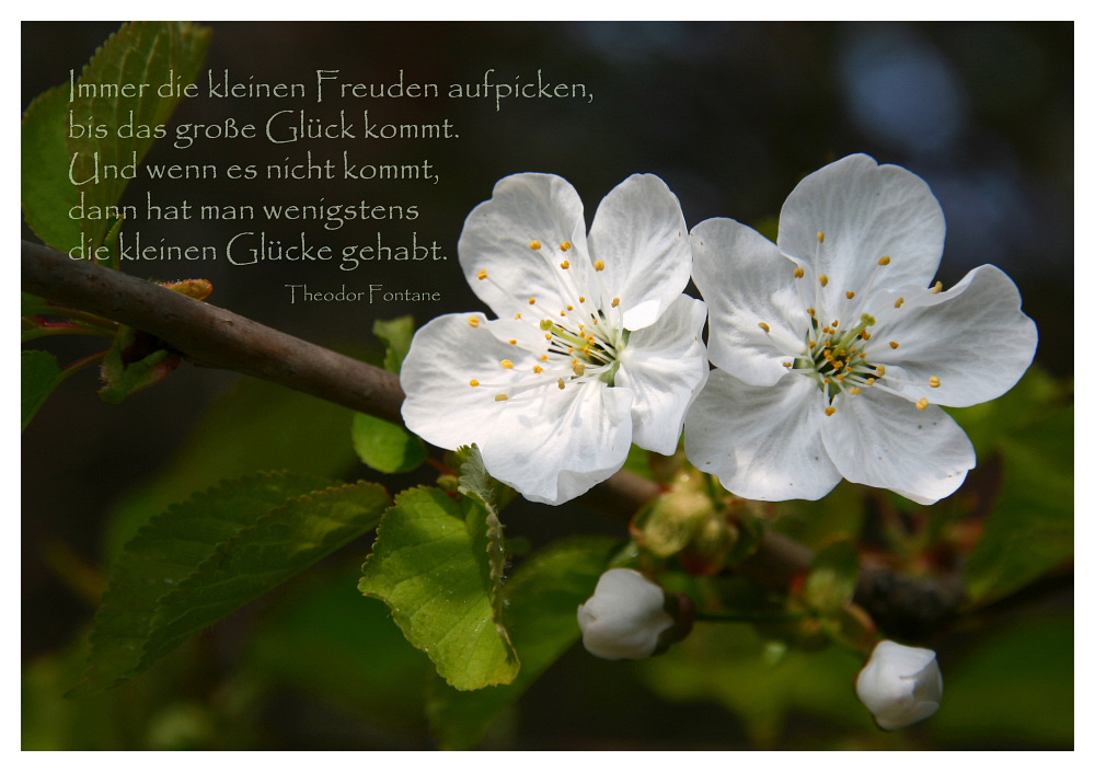 Kleine Freuden Foto & Bild | karten und kalender, karten , spezial ...