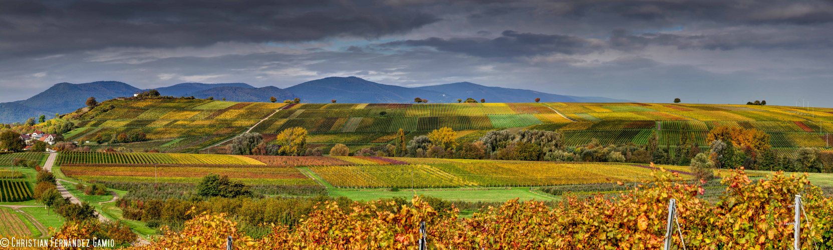 Kleine Kalmit im Herbst Foto & Bild | deutschland, europe, rheinland ...