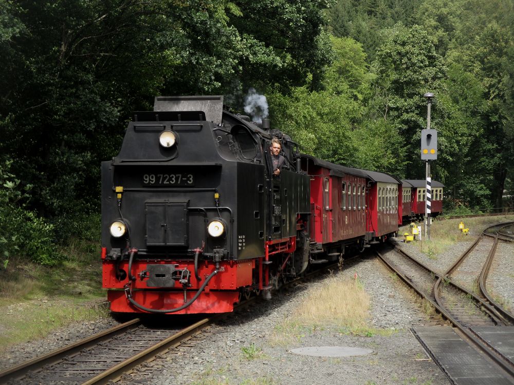 Kleine Mittagsrunde mit der HSB nach Eisfelder Talmühle 4. Foto & Bild | fotos, sommer ...