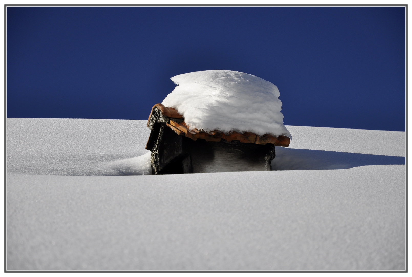 Kleine oder große Haube? Foto & Bild | jahreszeiten, winter, natur ...