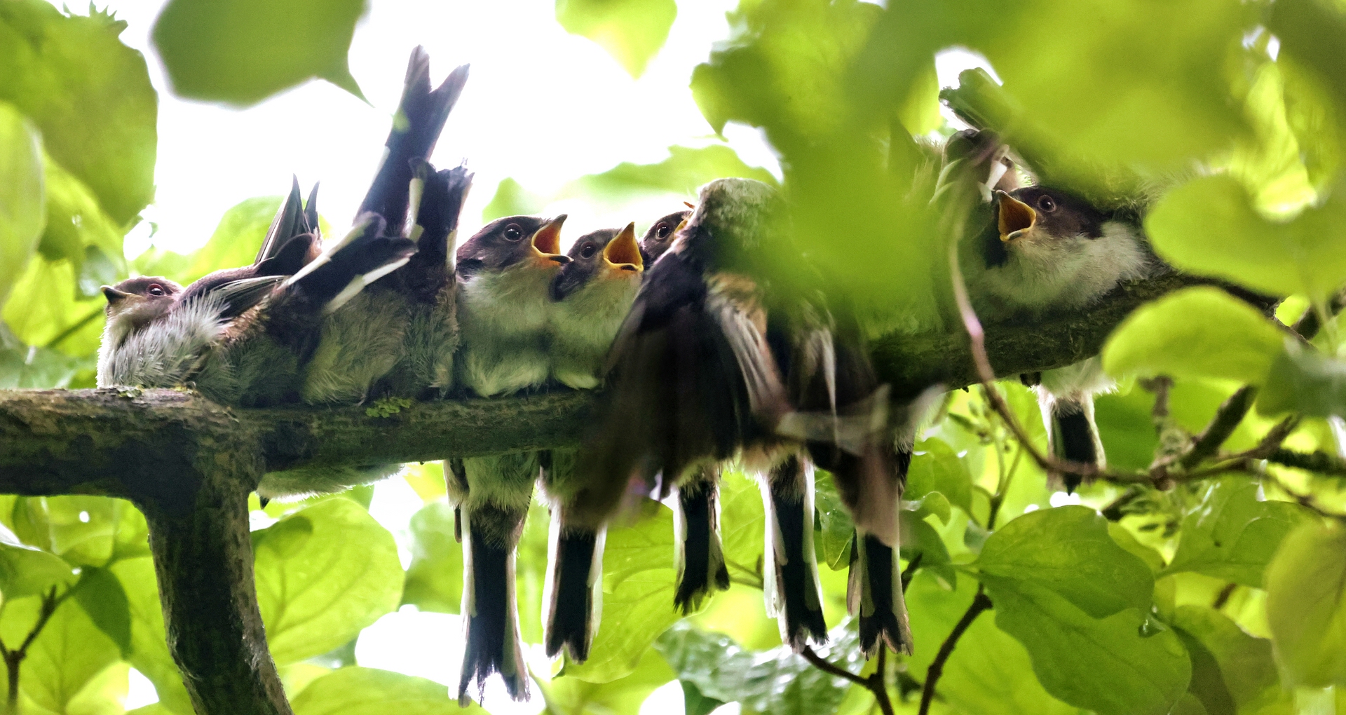 KLEINE WUNDER Foto & Bild | mai, frühling, natur Bilder auf fotocommunity
