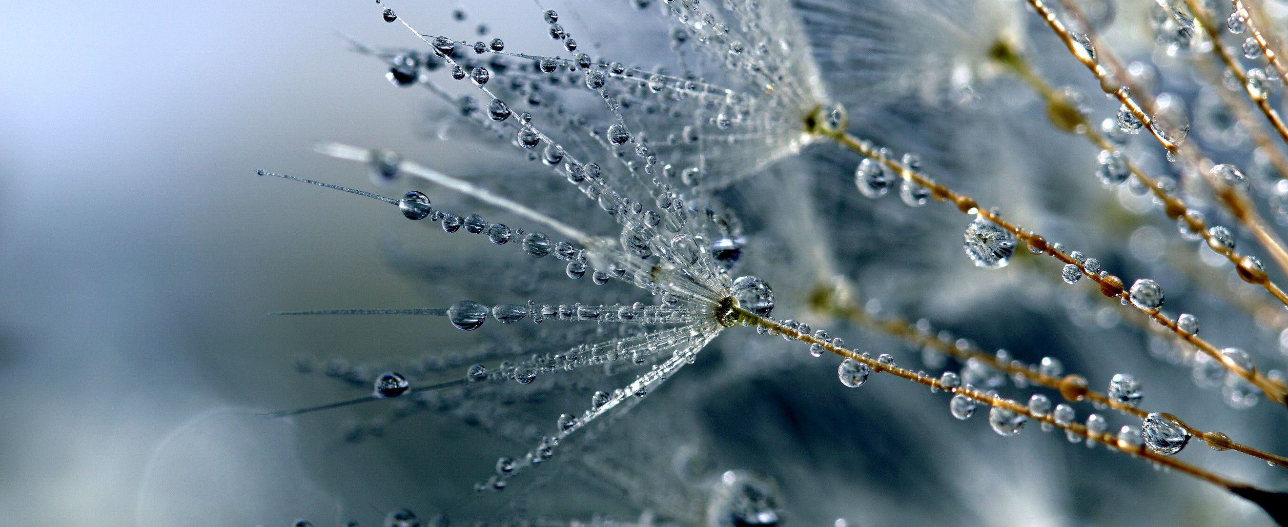 Kleine Wunder Foto & Bild | nature, spezial, wasser Bilder auf ...