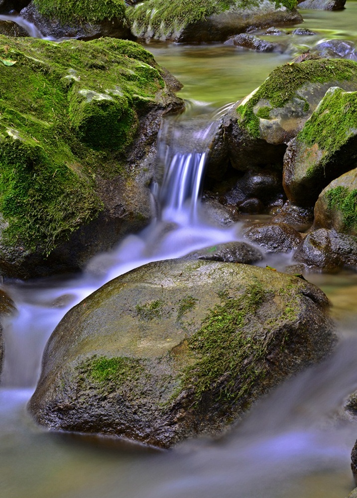 Kleiner Bach Foto & Bild | landschaft, bach, fluss & see, bachläufe ...