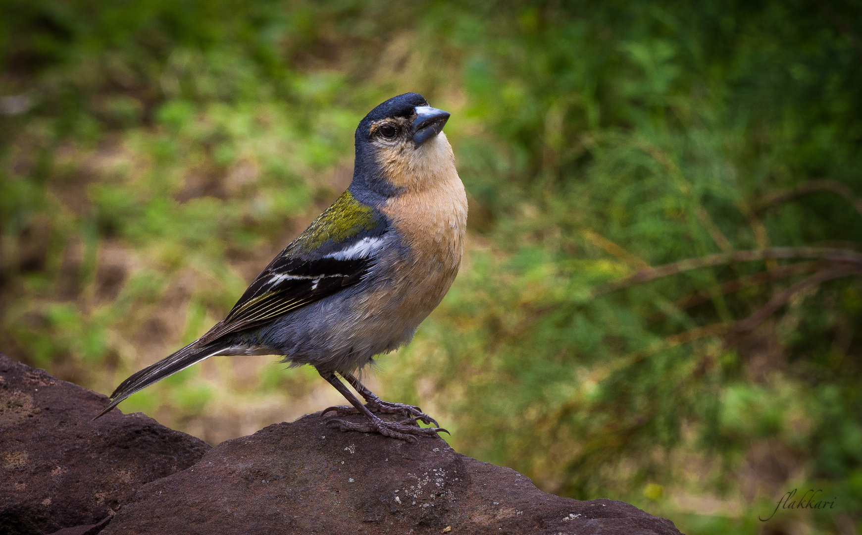 Kleiner Kerl Foto & Bild | urlaub, outdoor, natur Bilder auf fotocommunity