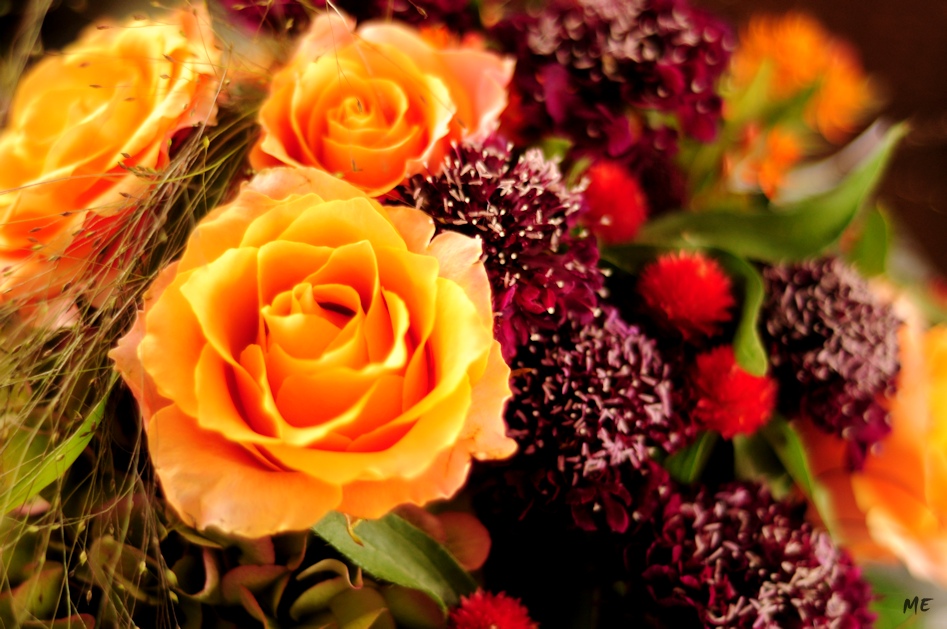 Kleiner Rosenstrauß zum Geburtstag von meinem Dad Foto & Bild ...