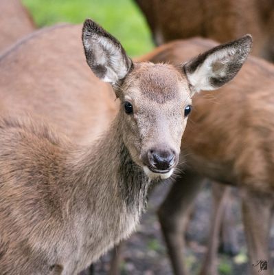 Herbst Bilder & Fotos