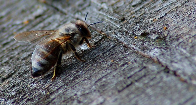 Susann Meyer - Fotos & Bilder - Fotografin aus Wenzenbach, Deutschland ...
