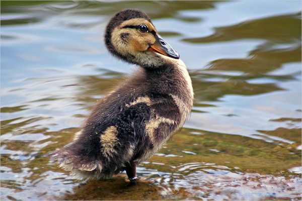Iris Fuchs - Fotos & Bilder - Fotografin aus Fellbach BaWü, Deutschland ...