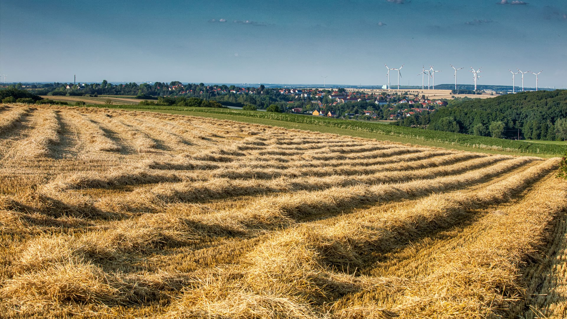 Kleines Feld Foto & Bild | landschaft, lebensräume, Äcker, felder ...