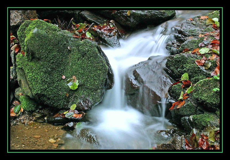 Kleines Rinnsal im Herbst Foto & Bild | landschaft, bach, fluss & see ...