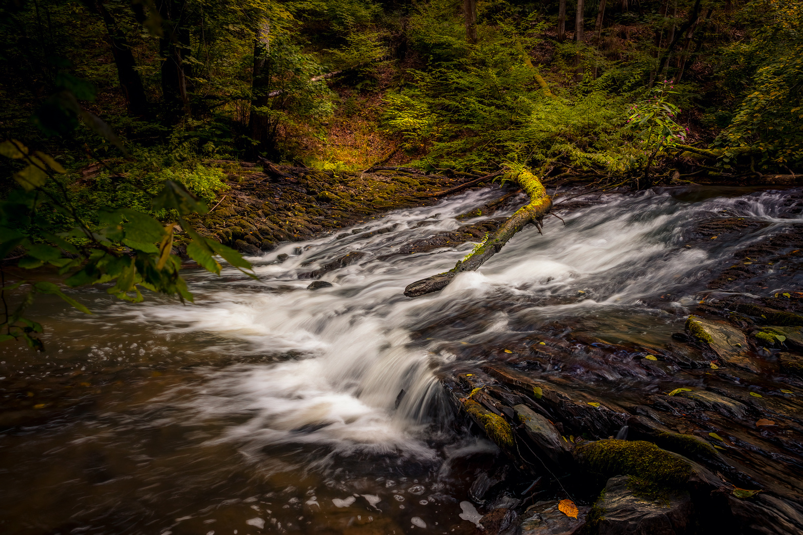 Kleines Wehr im Mühlbach Foto & Bild | landschaft, jahreszeiten, herbst ...