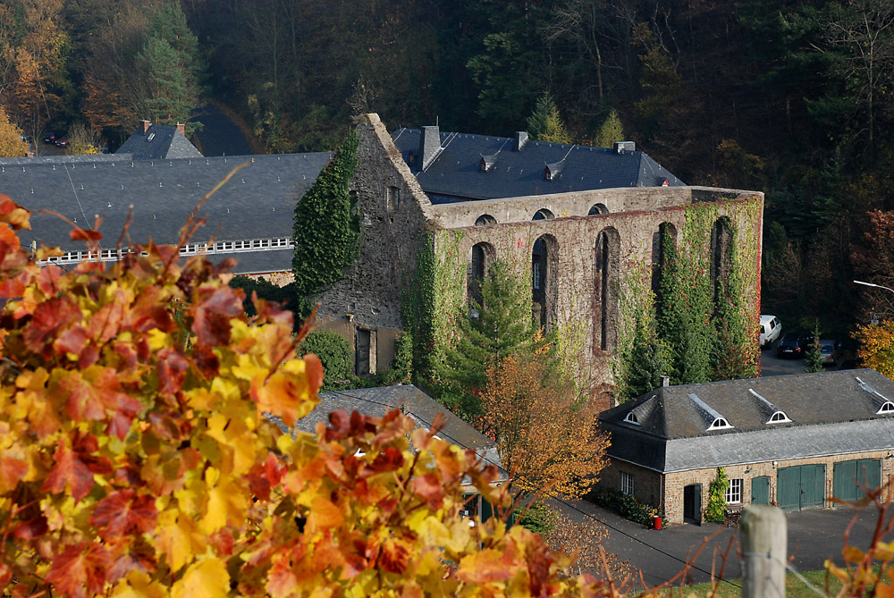 Kloster Marienthal Foto & Bild | deutschland, europe, rheinland-pfalz ...