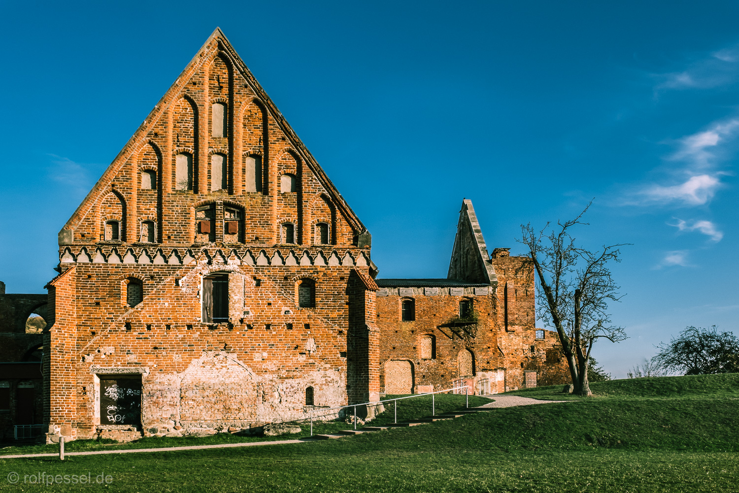 Klosterruine Bad Doberan Foto & Bild | world, winter, baum Bilder auf ...