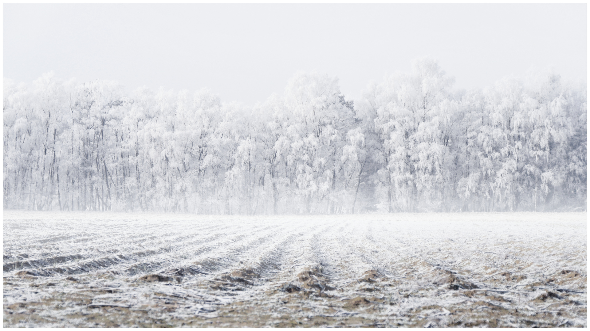 **knackig kalt** Foto & Bild | landschaft, jahreszeiten, winter Bilder ...