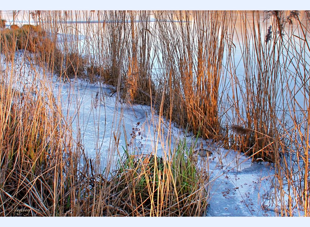 # knackig kalt # Foto & Bild | kalt, eis, landschaft Bilder auf ...