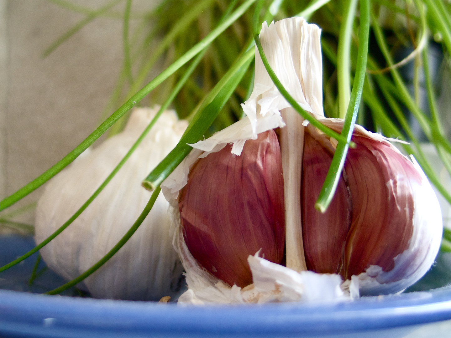 Knolle Foto & Bild | pflanzen, pilze & flechten, küchenkrautpflanzen ...
