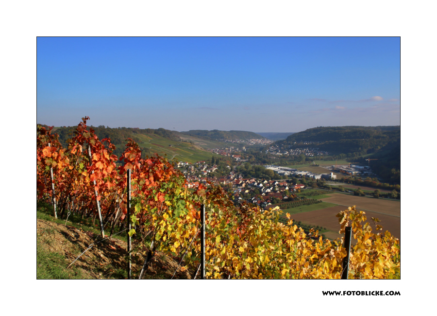 Kocher Tal Foto & Bild | landschaft, kulturlandschaften, weinberge ...
