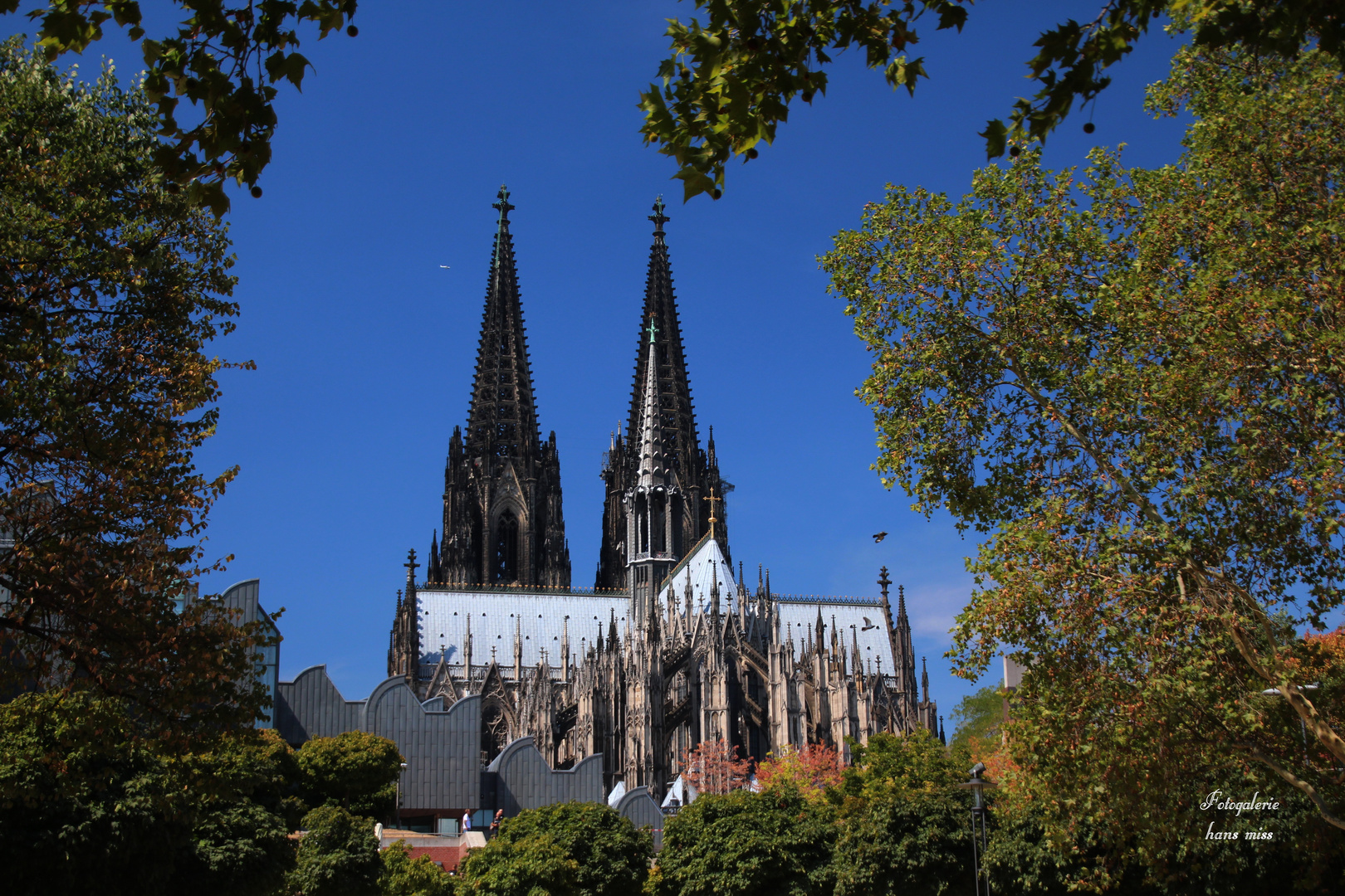 Kölner Dom Foto & Bild | landschaft, deutschland, naturaleza Bilder auf ...