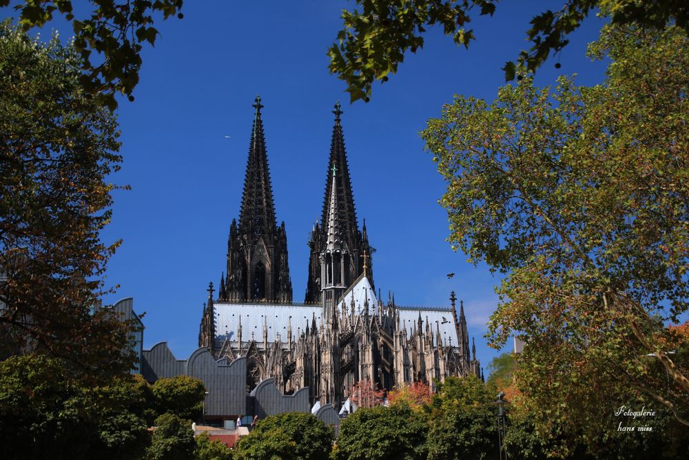 Kölner Dom Foto & Bild | landschaft, deutschland, naturaleza Bilder auf ...