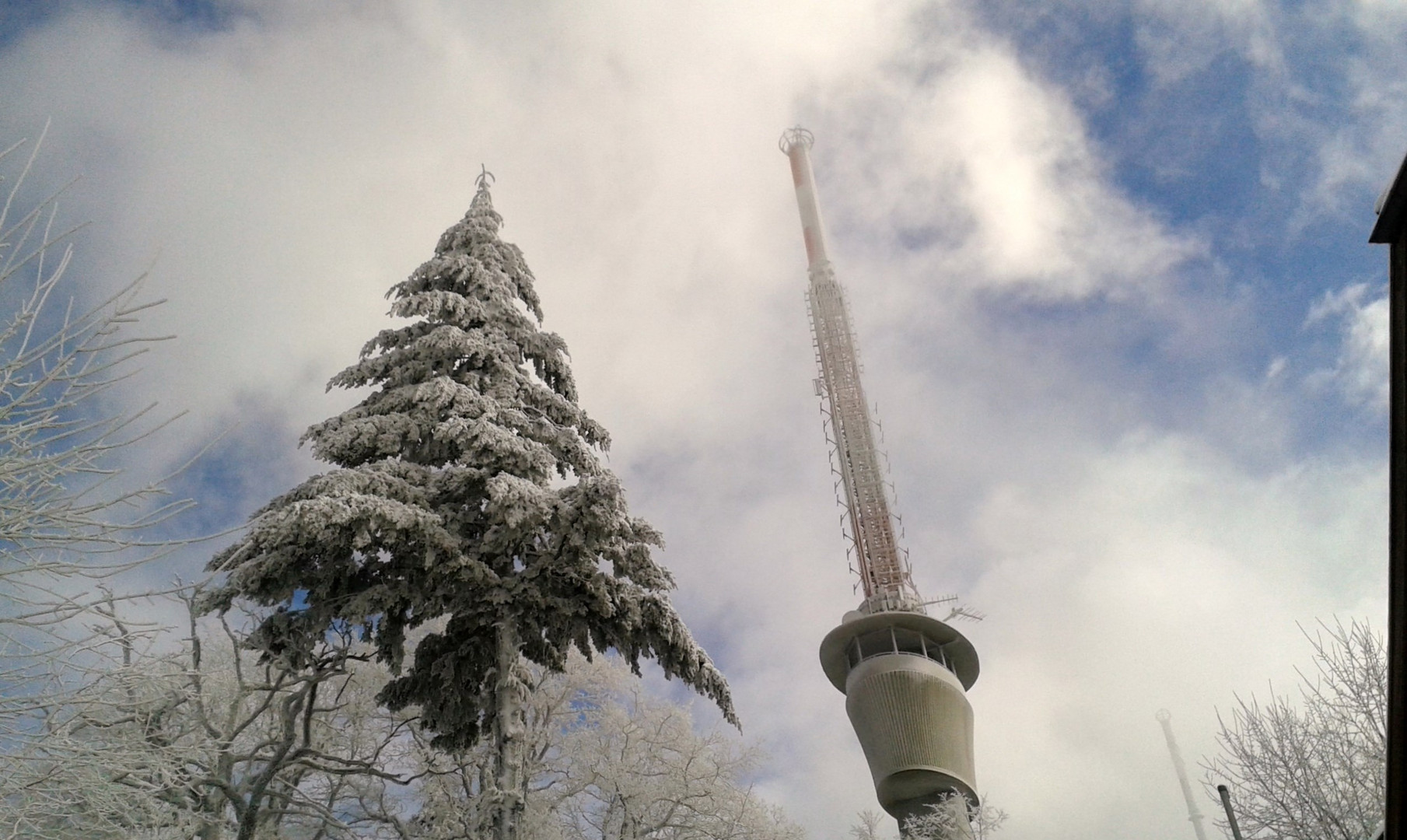 Königstuhl - Heidelberg Foto & Bild | jahreszeiten, winter, natur ...