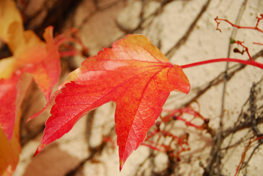 Könnte ich diese Farben doch für immer behalten Foto & Bild ...