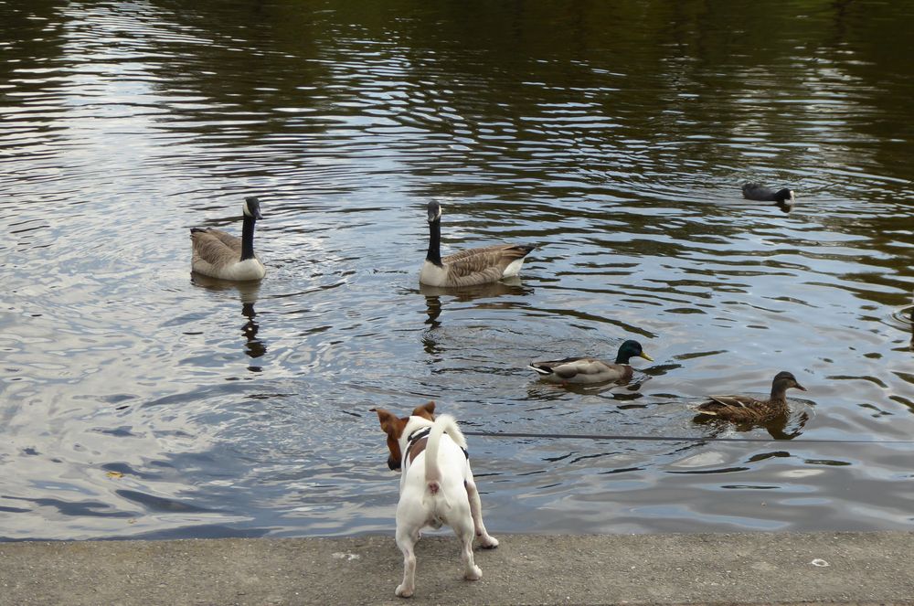 Komm rein wenn du dich traust.... Foto & Bild | tiere, spezial ...