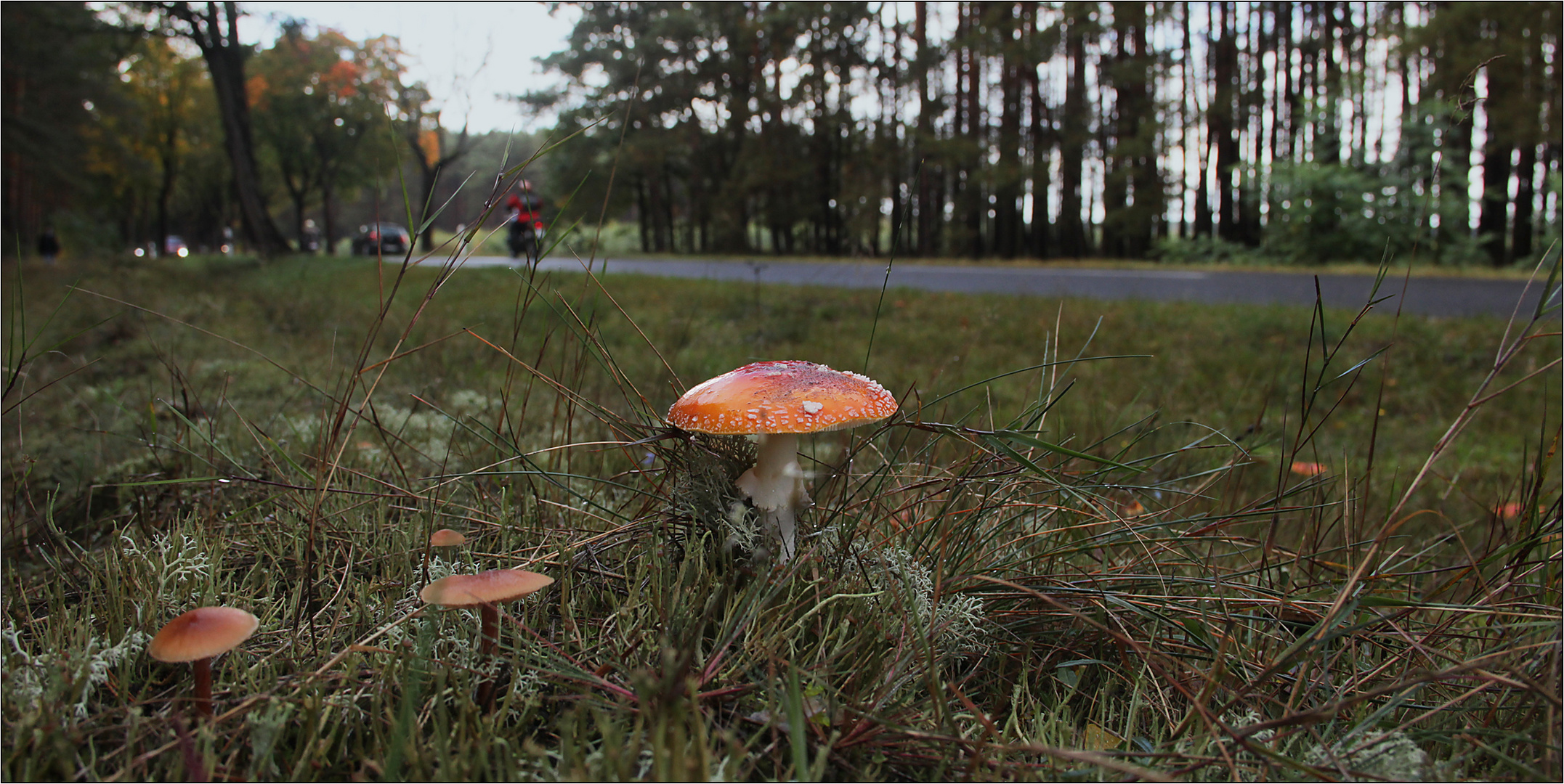 Kommt ... beeilt euch, Leute .... Foto & Bild | natur, landschaft ...