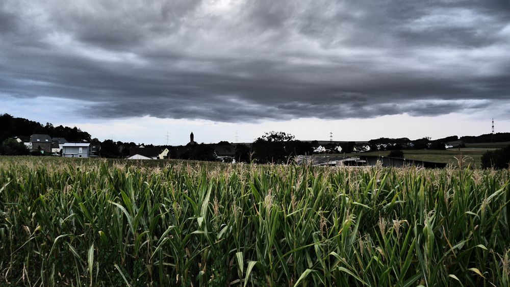 Kommt der Regen? Foto & Bild | deutschland, europe, rheinland-pfalz ...