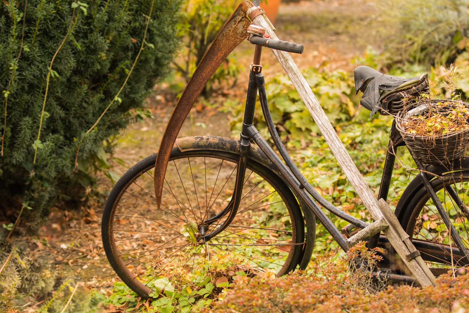 Kommt der Sensemann.... Foto & Bild | stillleben, autos & zweiräder ...