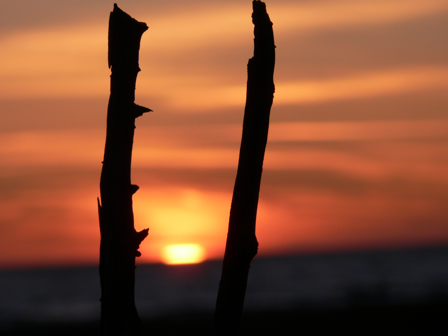 Kontrast Foto & Bild | landschaft, rückkehr der natur, natur Bilder auf ...