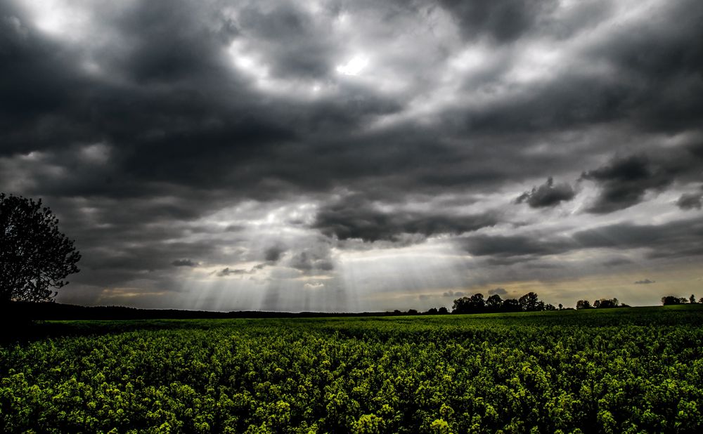 KONTRAST Foto & Bild | landschaft, jahreszeiten, himmel Bilder auf ...