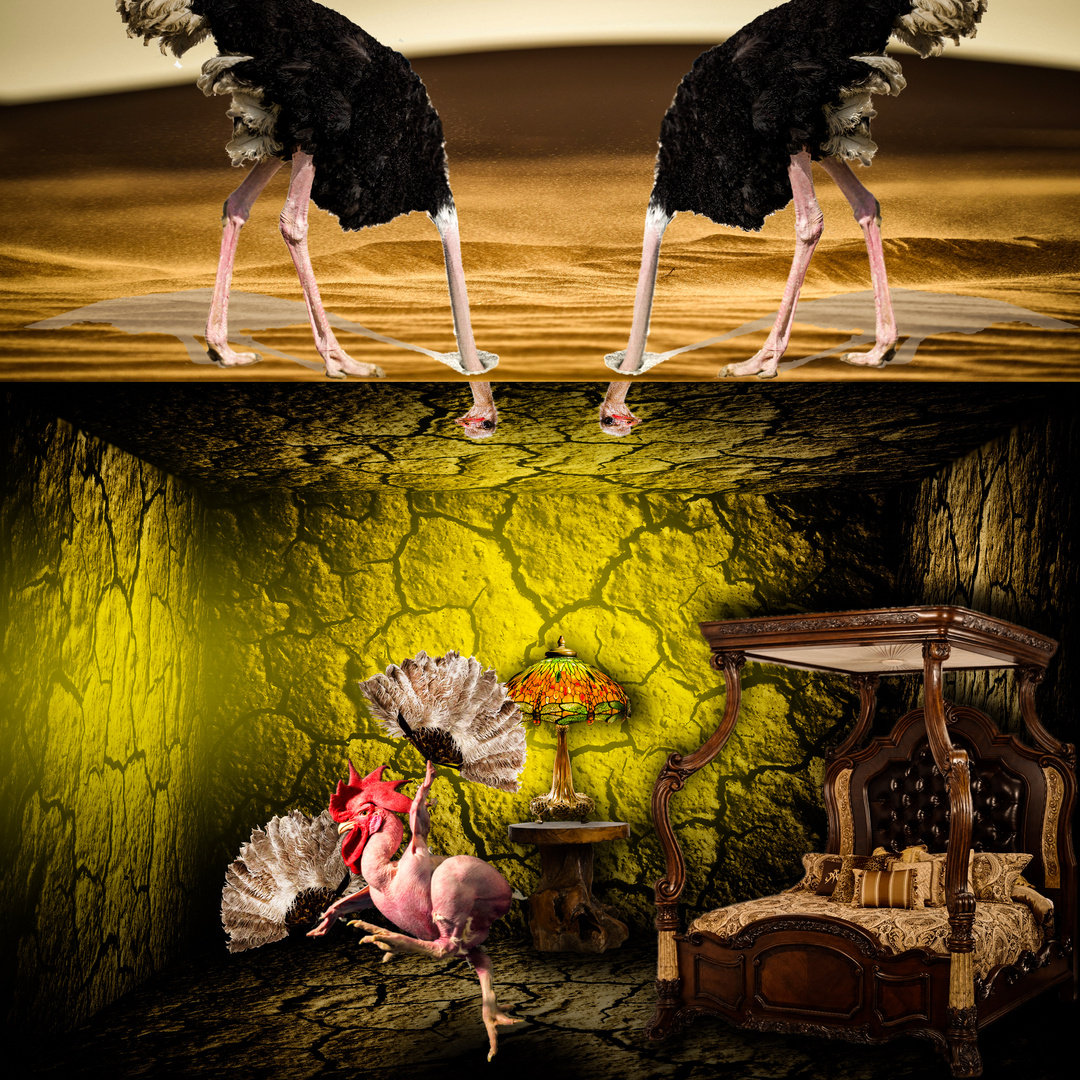 Kopf im Sand Foto & Bild | fun, composing, digiart Bilder auf fotocommunity