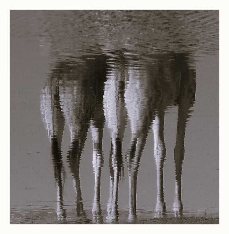 Kopf unter Foto & Bild | spezial, sw, spiegelung Bilder auf fotocommunity