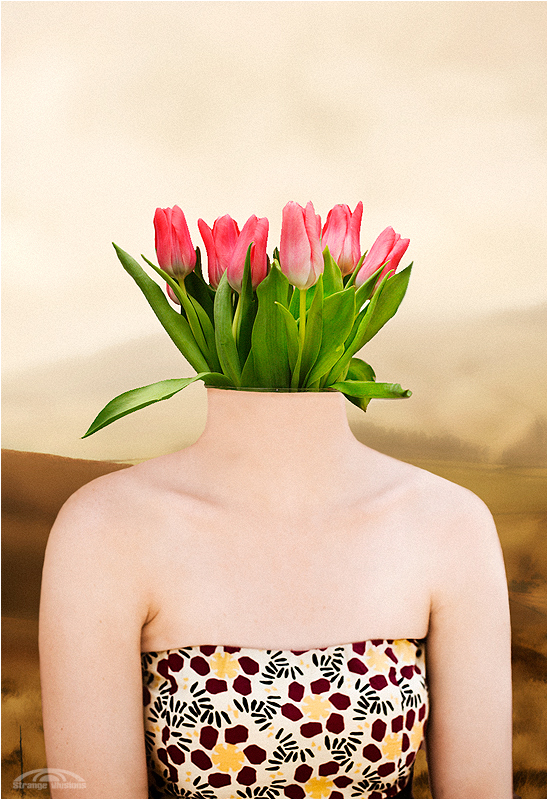 KOPFLOS 4 Foto & Bild | fotomontage, surreal, digiart Bilder auf fotocommunity