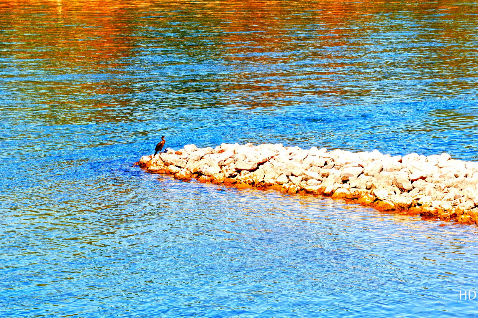 Kormoran-Digiart Foto & Bild | spezial, rhein, digiart Bilder auf ... Kormoran-Digiart Foto & Bild | spezial, rhein, digiart Bilder auf ...