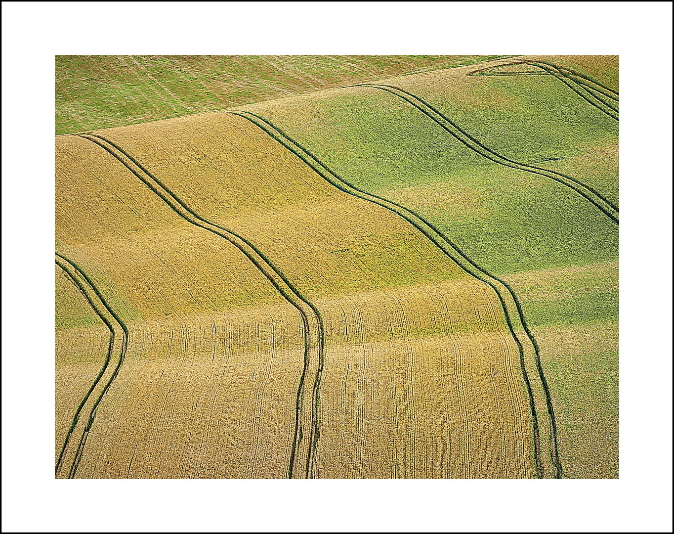 Kornfeld Foto & Bild | landschaft, Äcker, felder & wiesen, kulturlandschaften Bilder auf ...