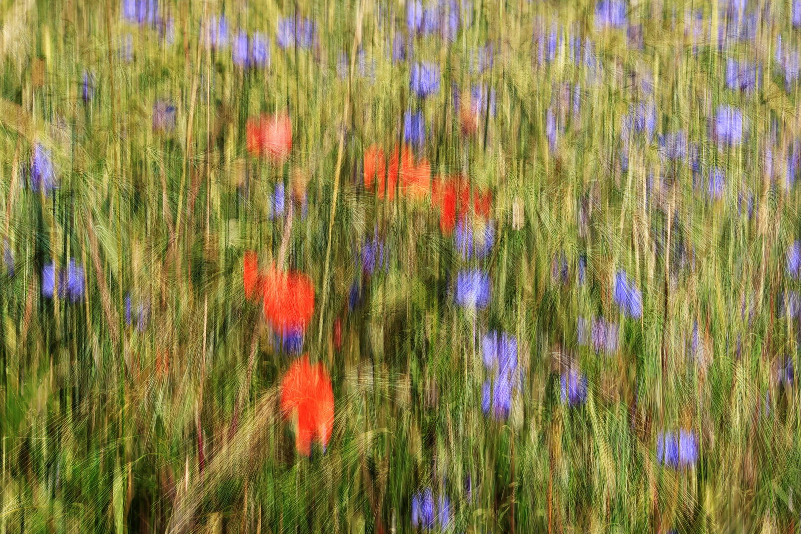 Kornfeld kreativ Foto & Bild | sommer, natur, kornfeld Bilder auf fotocommunity