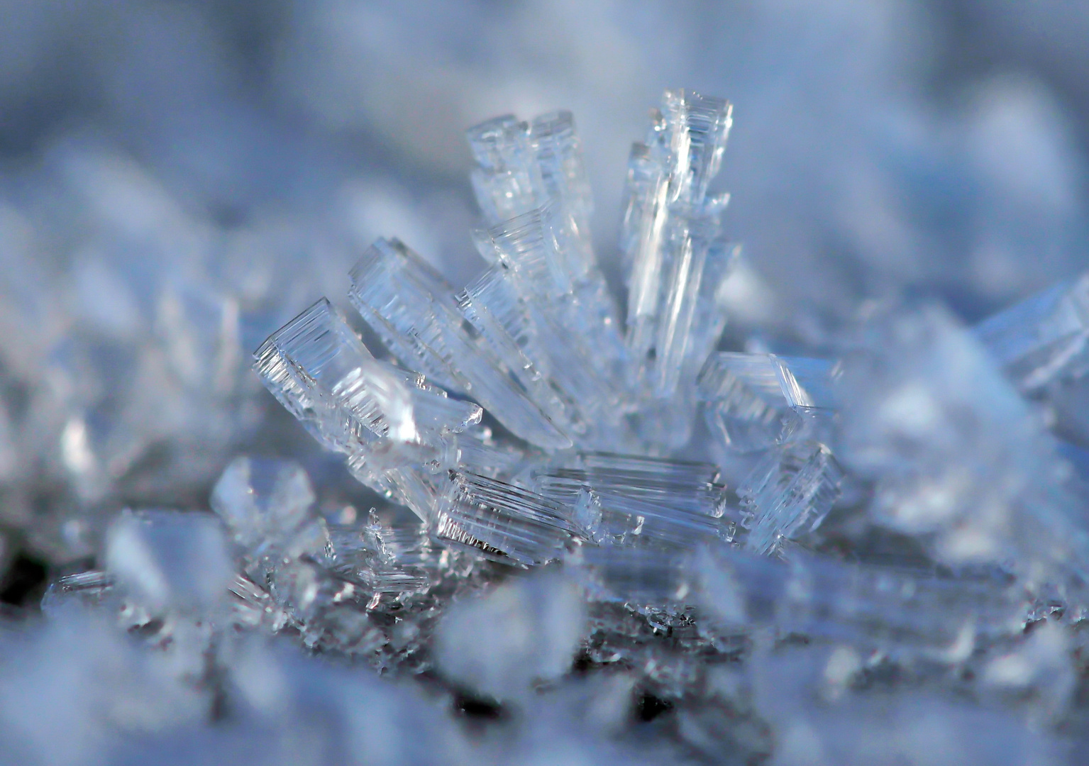 Kristalle Foto & Bild | winter, natur, sonstiges Bilder auf fotocommunity