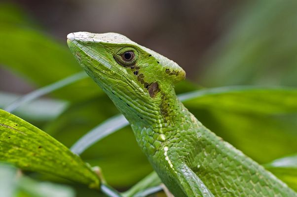 Thomas Beitz - Fotos & Bilder - Fotograf aus Wetter, Deutschland ...