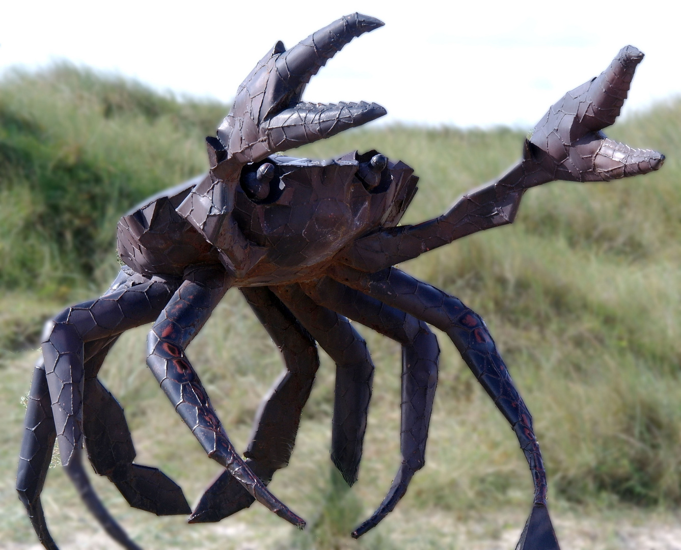 Krosse Krabbe..... Foto & Bild | archiv - kritik am bild, konstruktive ...