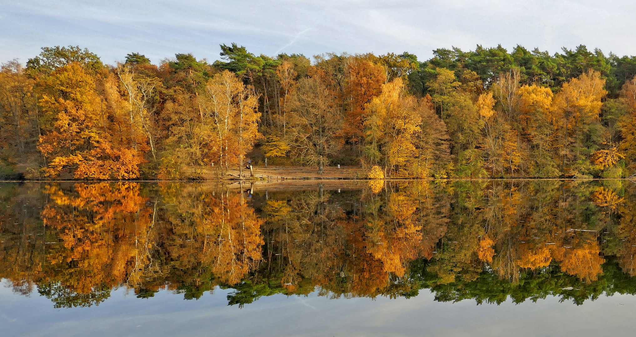 Krumme Lanke 2 Foto & Bild | jahreszeiten, herbst, natur Bilder auf ...