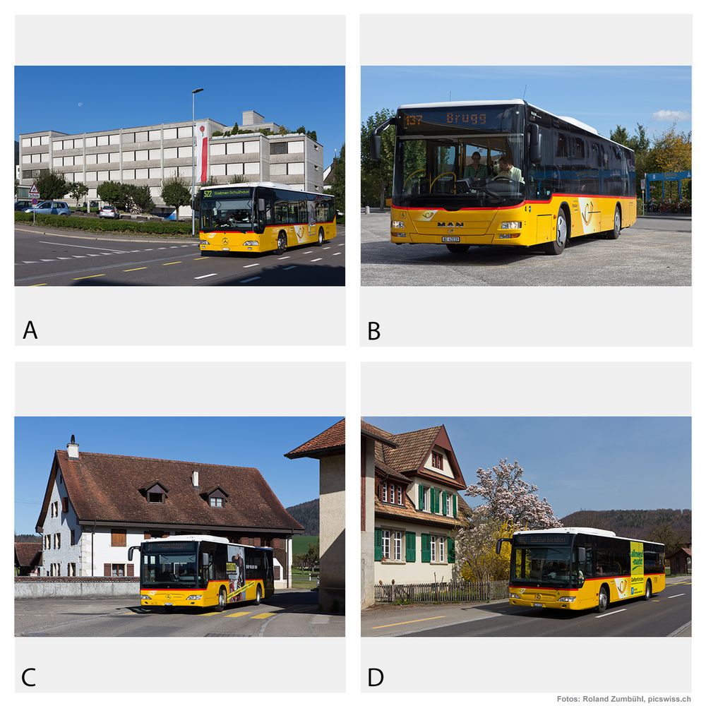 Kuckucks-Rätsel Nr. 16 Foto & Bild | quatsch, fun und rätselecke ...