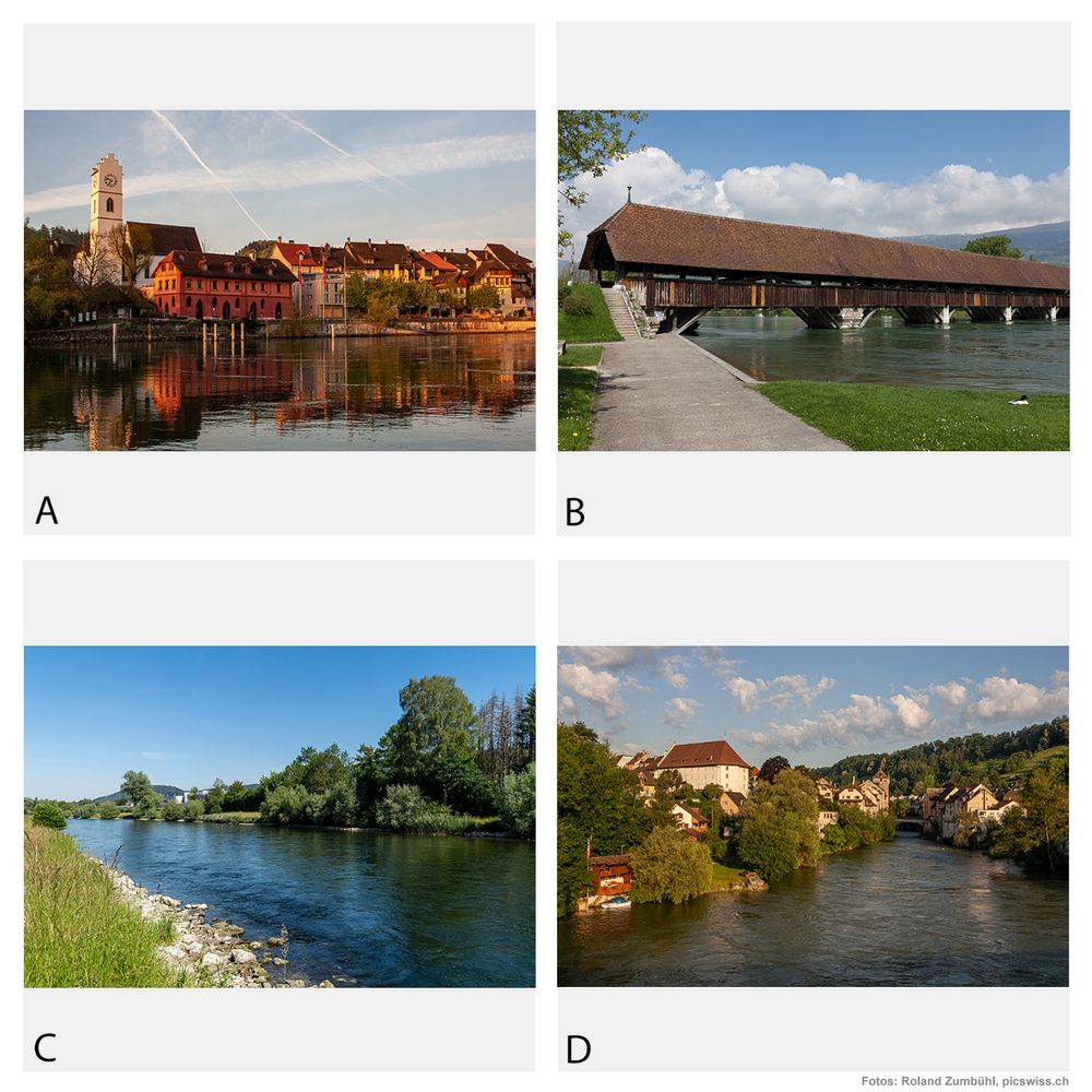 Kuckucksei-Rätsel Nr. 21 Foto & Bild | quatsch, fun und rätselecke ...