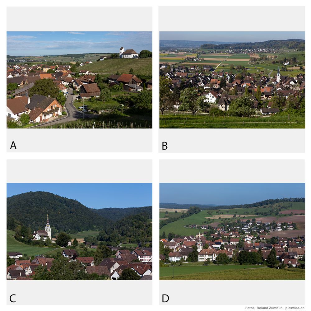 Kuckucksei-Rätsel Nr. 23 Foto & Bild | quatsch, fun und rätselecke ...