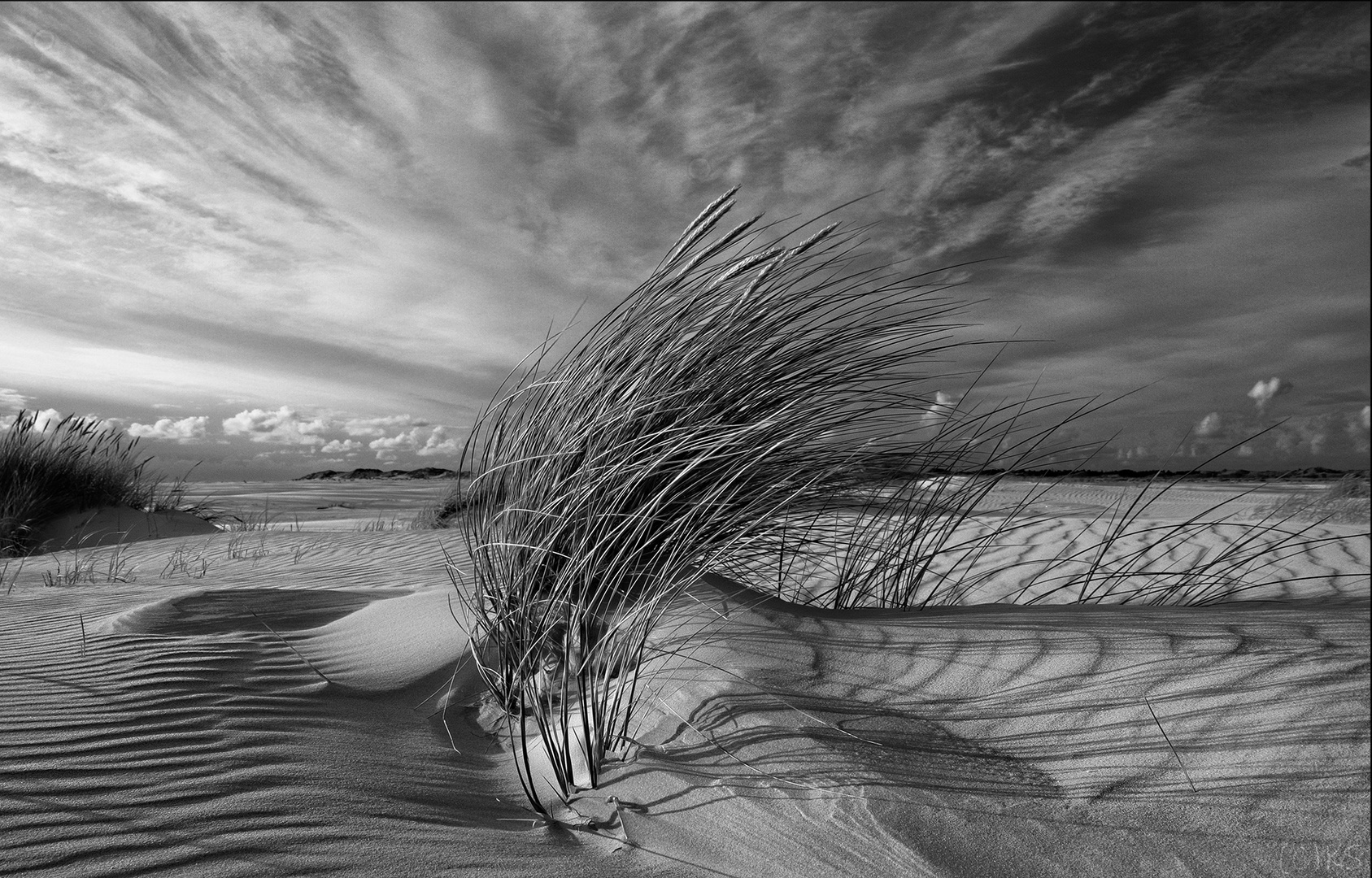 Küstendüne-Strandhafer Foto & Bild | natur, monochrom, nordsee Bilder ...