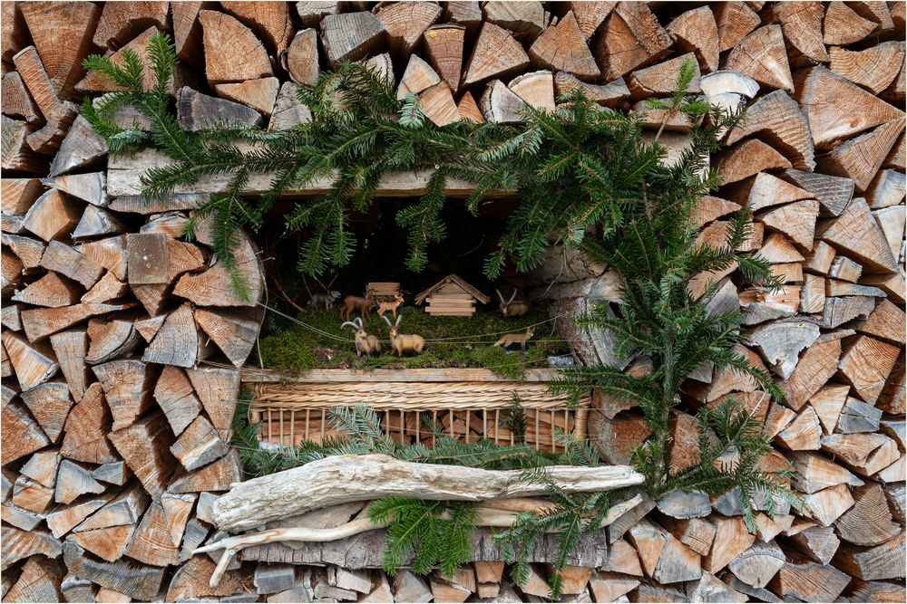 Kulturinteressierte Mitze 4 Foto & Bild | katze, koppigen, szenen ...