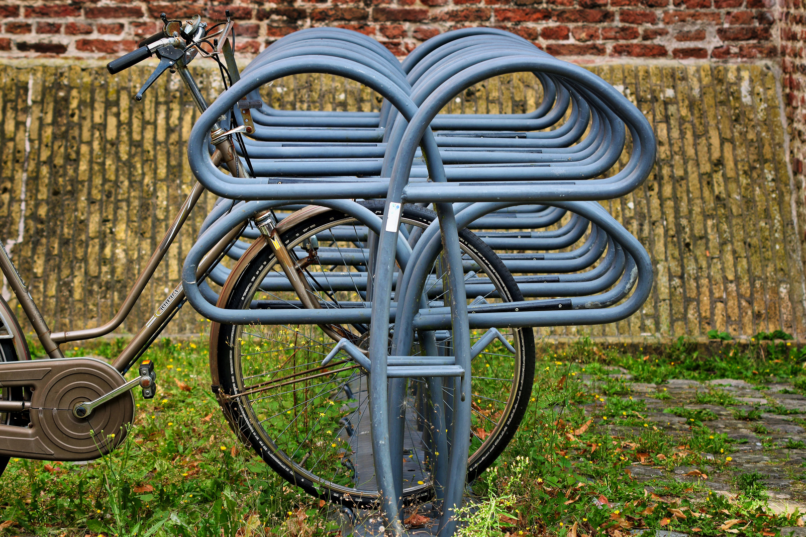 Kunst am Rad Foto & Bild | abstraktes, menschen, autos & zweiräder ...